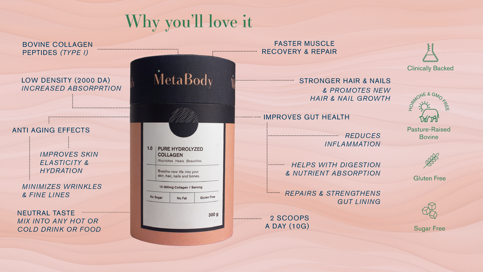 All Products – MetaBody